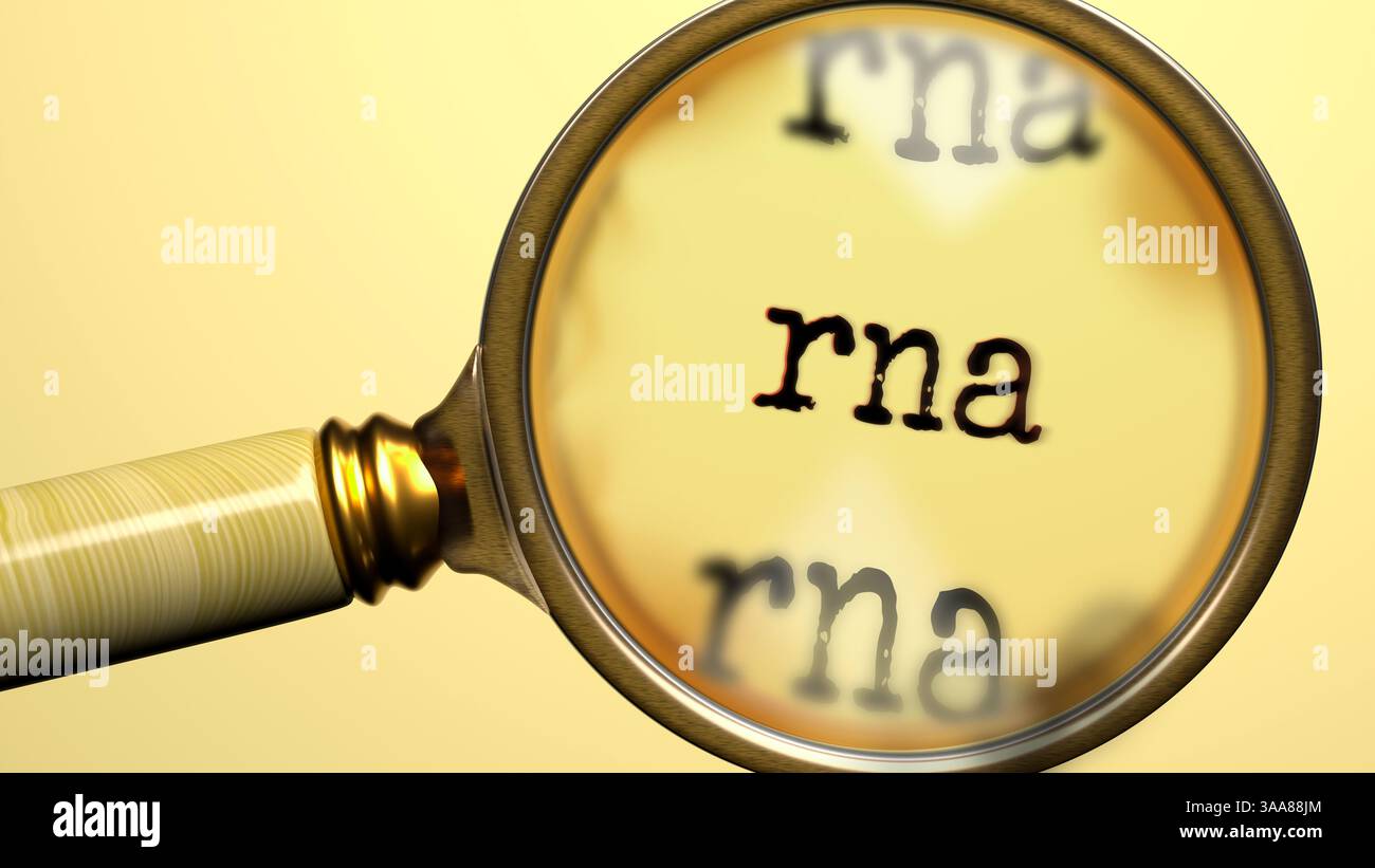 Rna under magnifying glass. Thorough analysis and inspection of rna ...