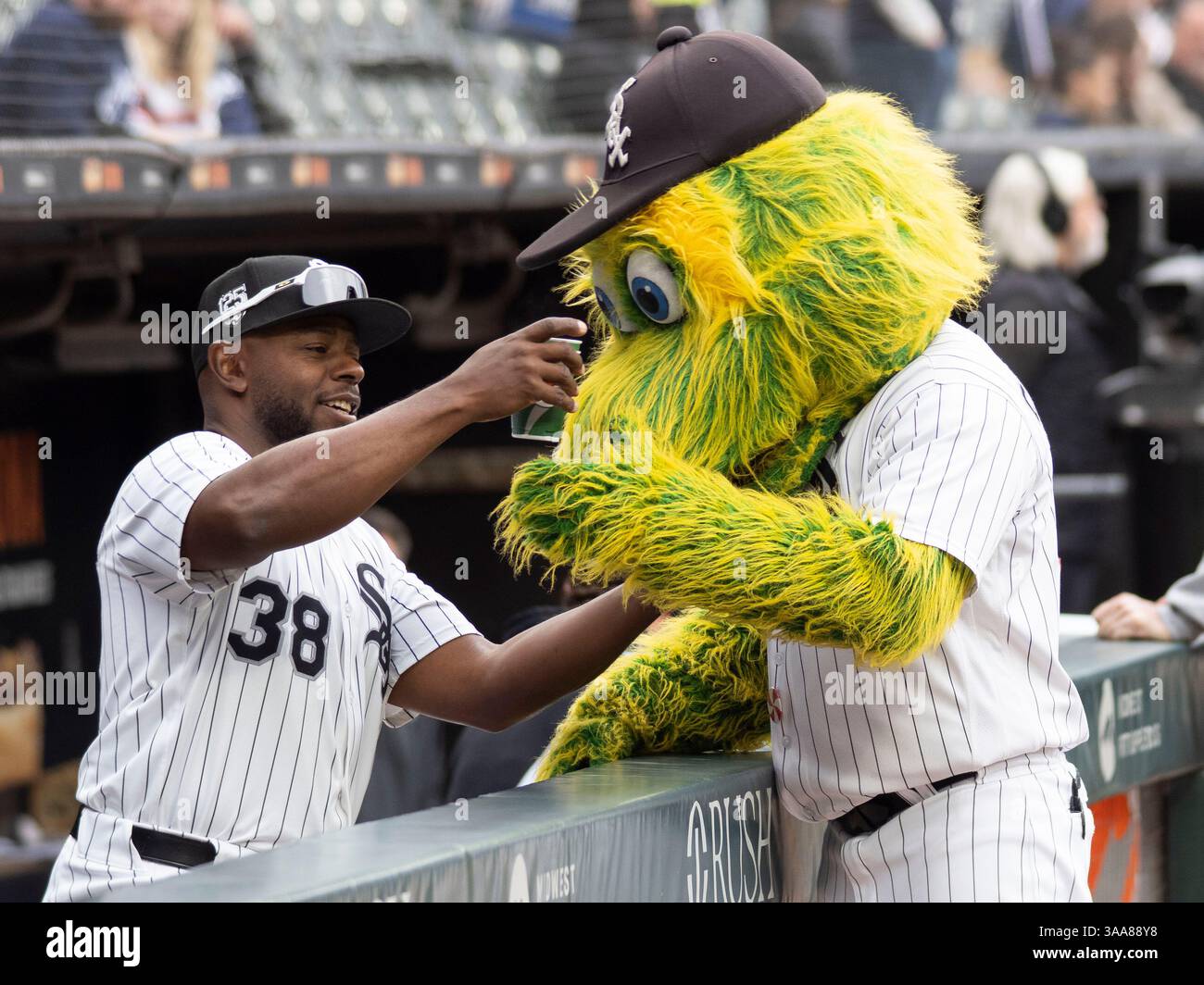 CHICAGO, IL - MARCH 29: Chicago White Sox first base coach/outfield ...