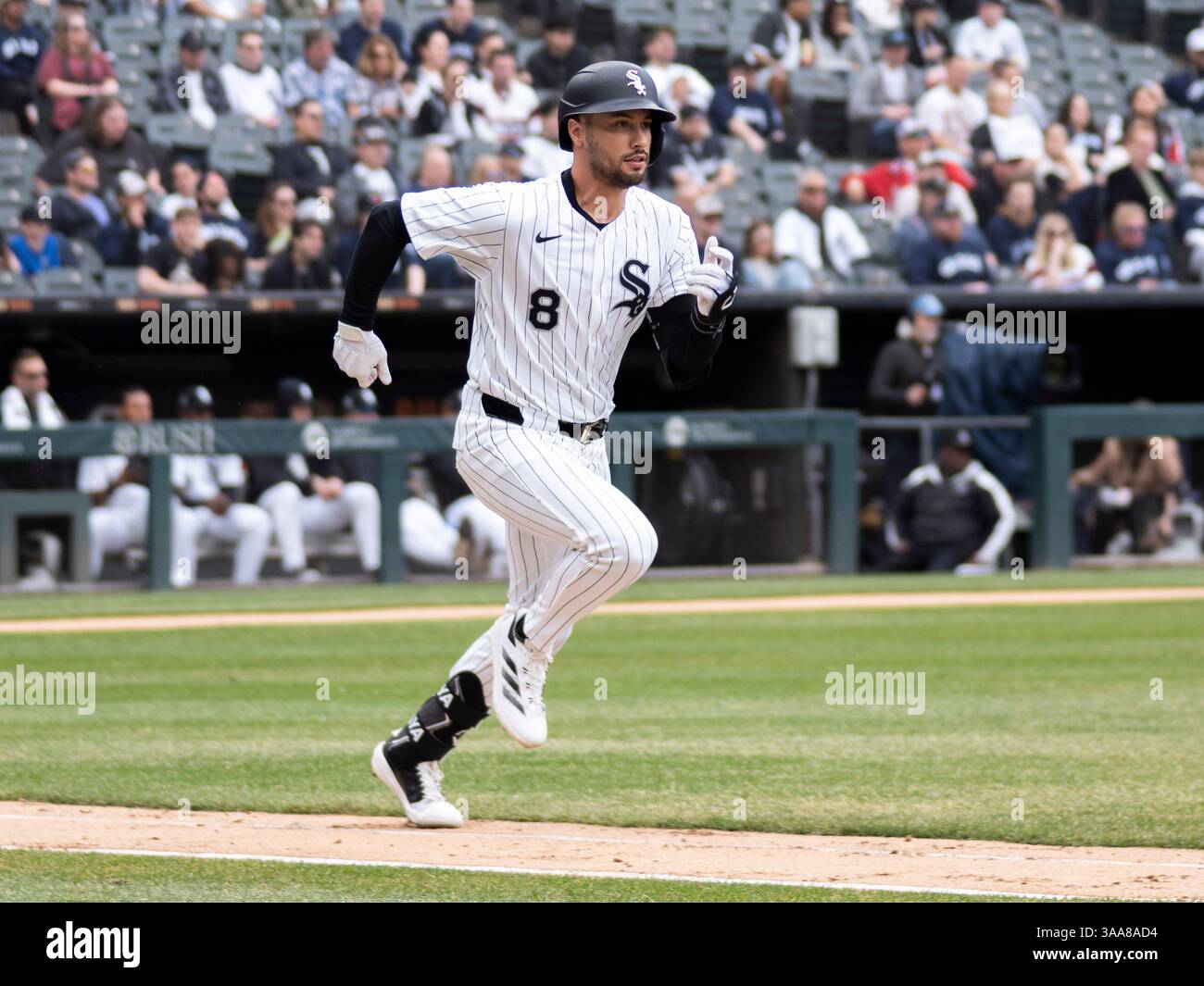 CHICAGO, IL - MARCH 29: Chicago White Sox shortstop Jacob Amaya (8 ...