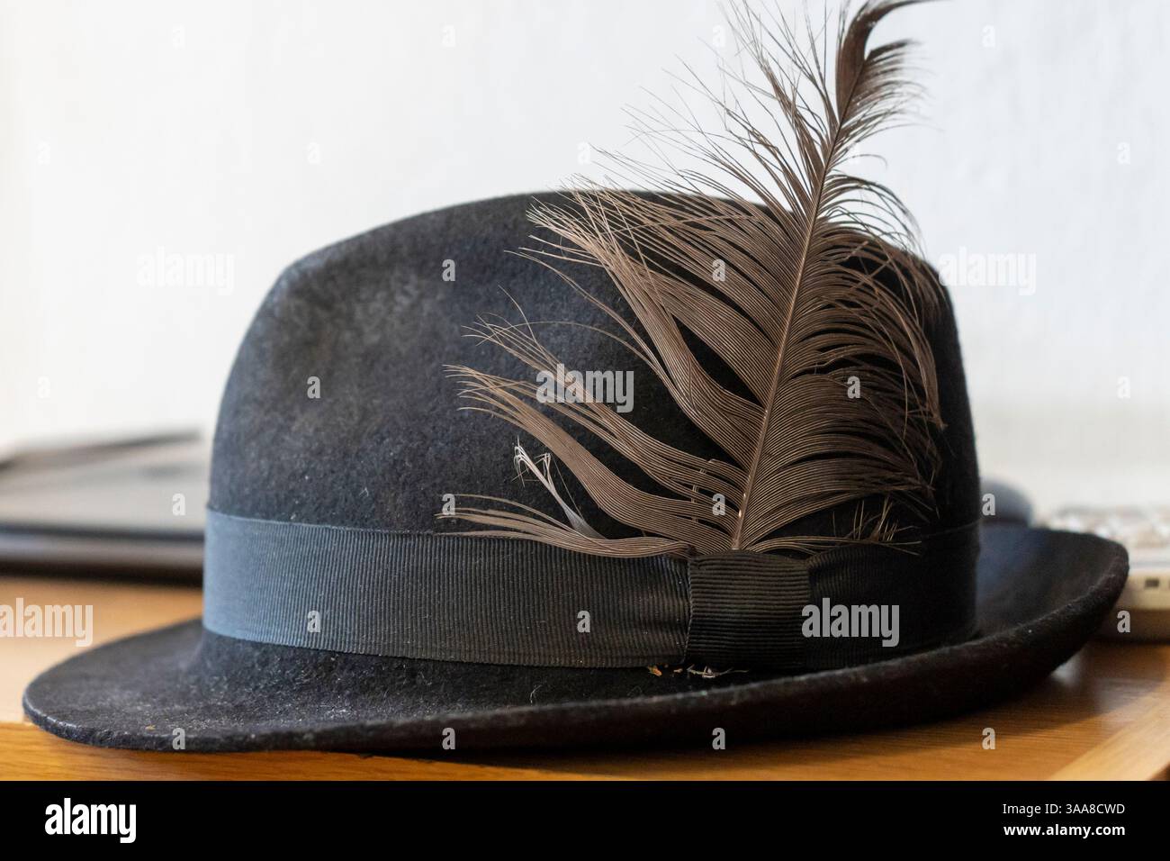 Old fashioned felt hat hi-res stock photography and images - Alamy