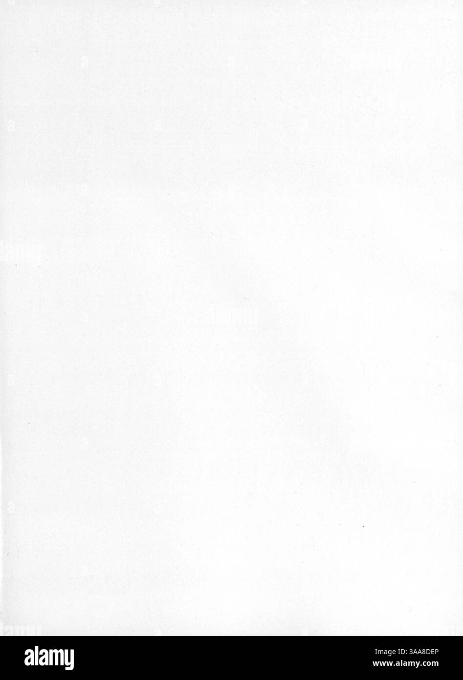 The 1984 edition of 'The Dragon' yearbook at Andersen Open documents ...
