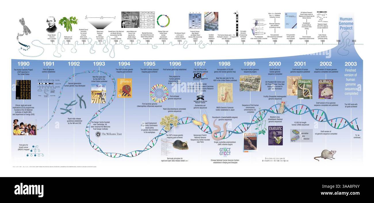 Human genome project timeline Stock Photo - Alamy