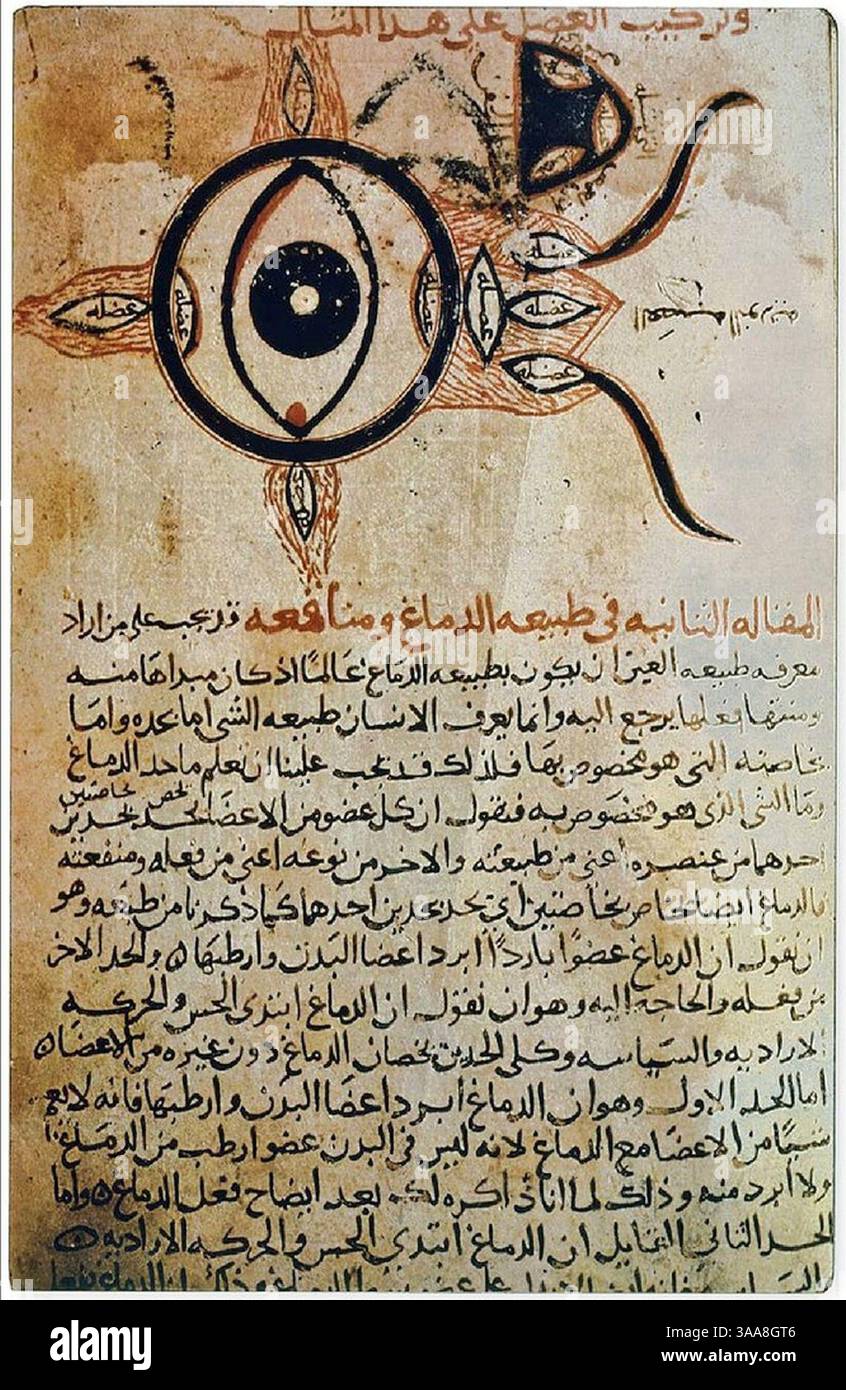 Hunayn ibn Ishaq 9th century CE description of the eye diagram in a ...
