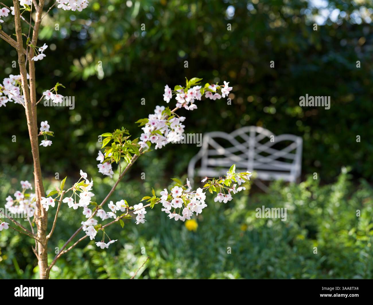 HELIGAN GARDENS THE LOST GARDENS OF HELIGAN Mevagissey Cornwall Stock ...