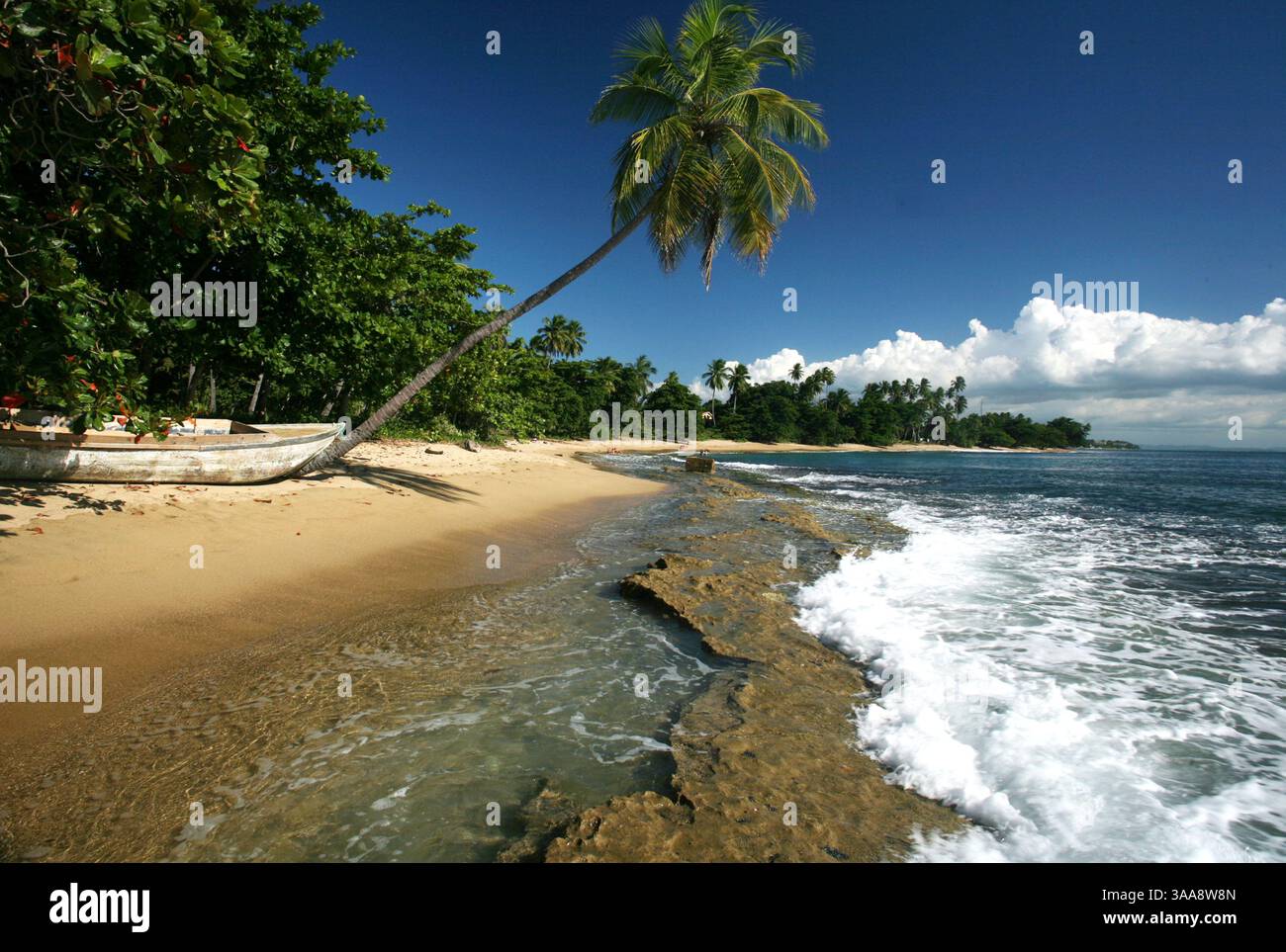 Puerto rico whale hi-res stock photography and images - Alamy