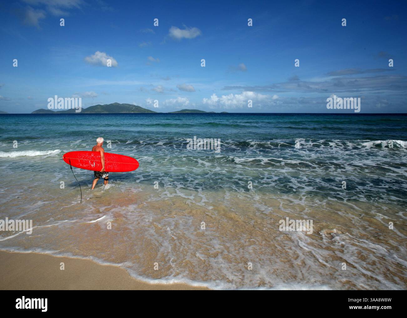 Puerto rico whale hi-res stock photography and images - Alamy