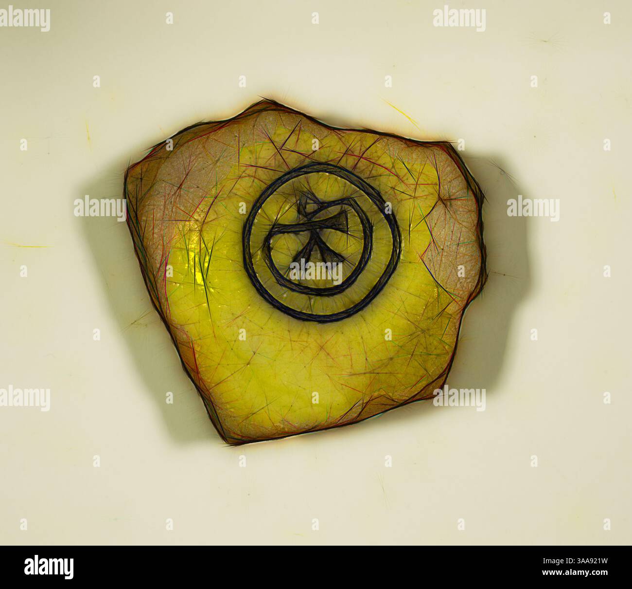 Yellowish stone features hi-res stock photography and images - Alamy