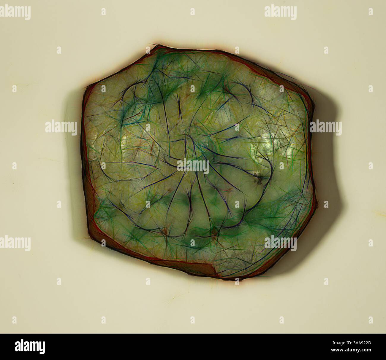 Translucent piece of material displays intricate hi-res stock ...