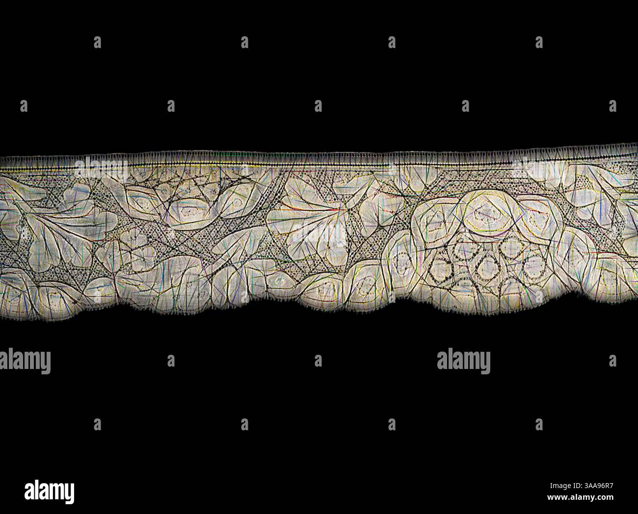 A detailed view of intricately patterned leaves, showcasing their ...