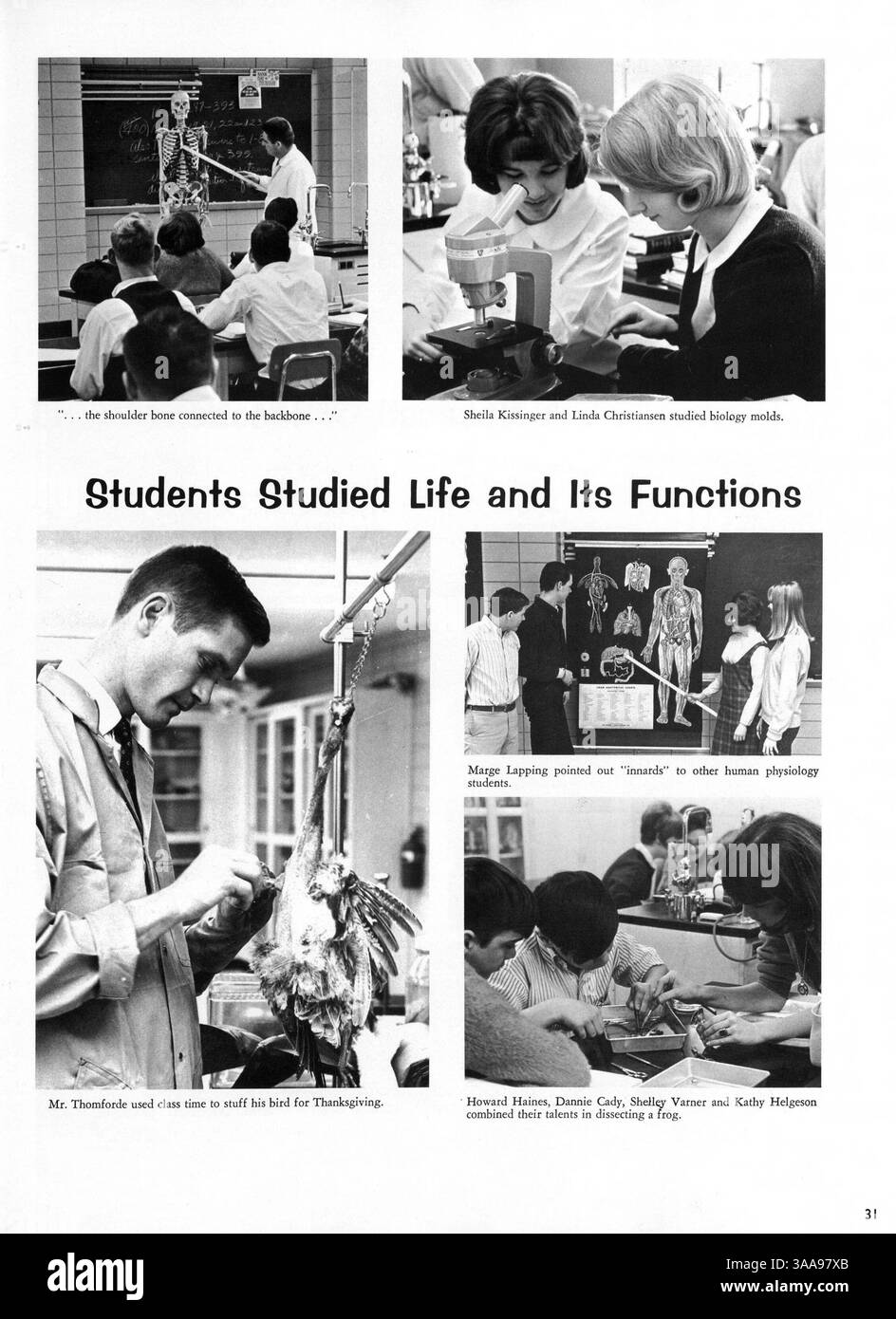 The 1966 Kennedy High Yearbook highlights students, teachers, clubs ...
