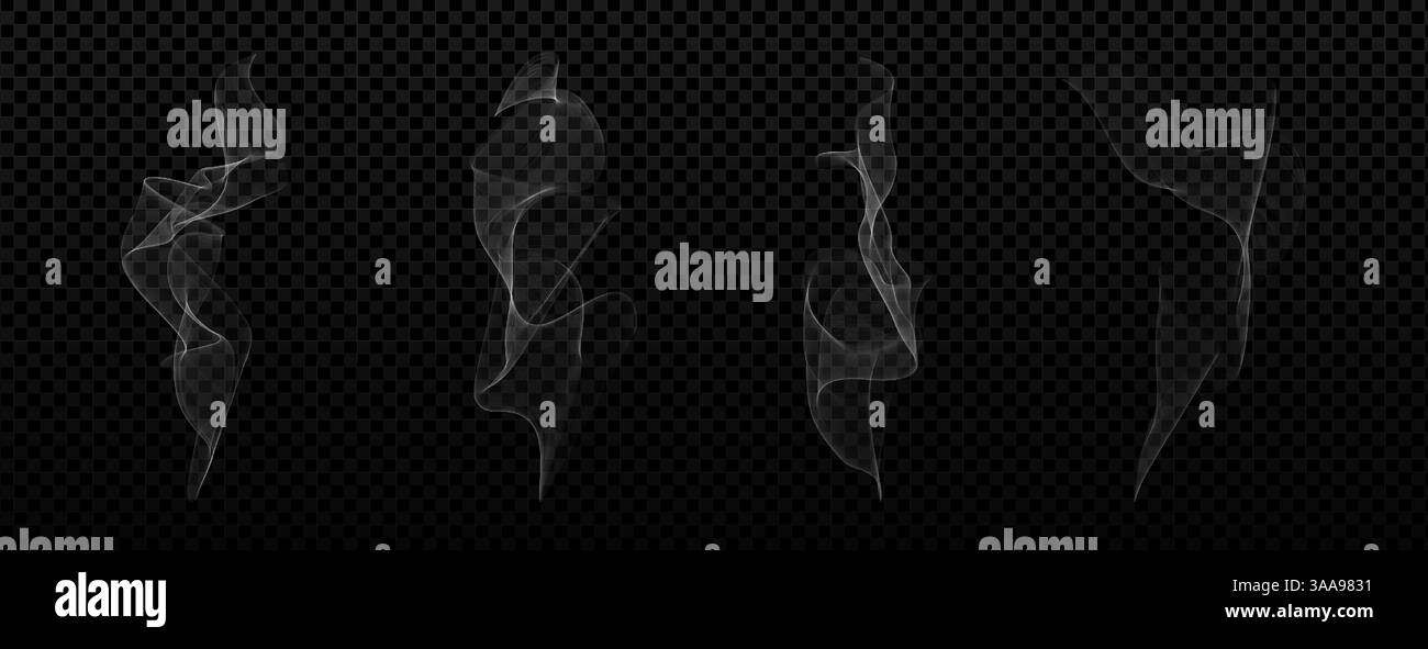 Realistic vector collection of smoke, fog and steam effects on ...