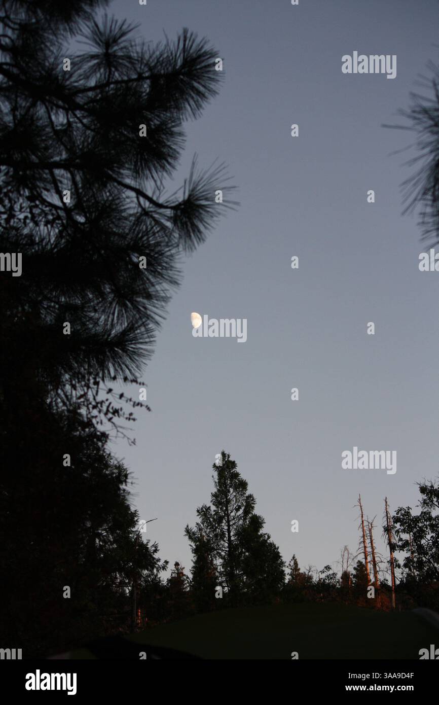 Moonlight and the night sky in Yosemite National Park, California Stock ...
