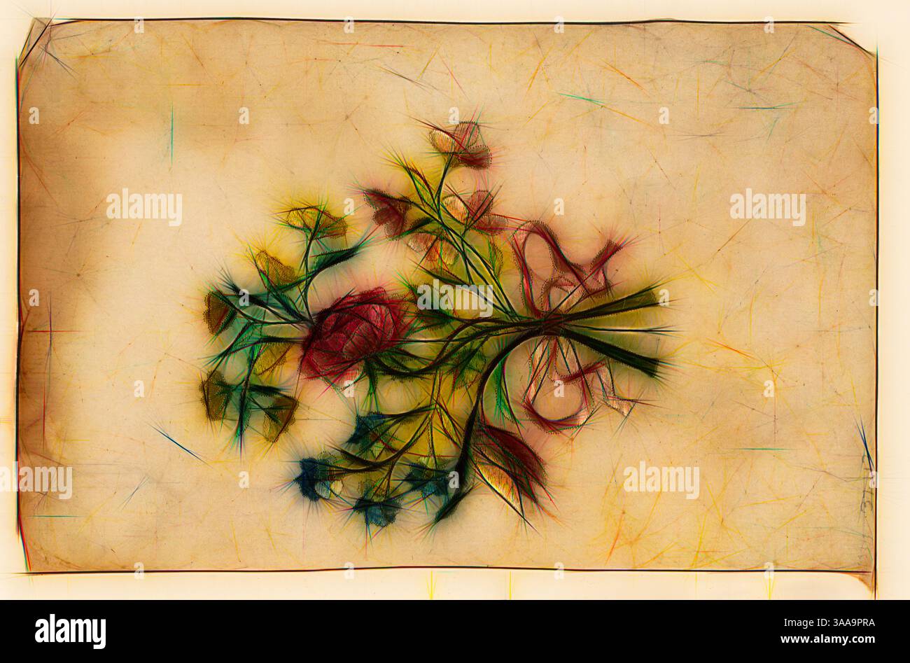 Delicate stems intertwining hi-res stock photography and images - Alamy