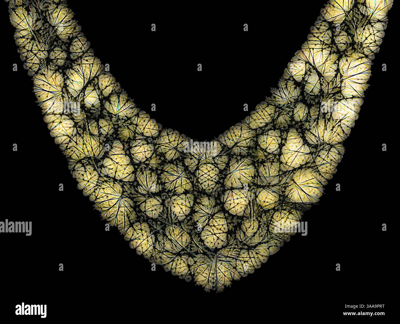 An intricate display of delicate, interconnected shapes forms a striking V-shaped pattern ...