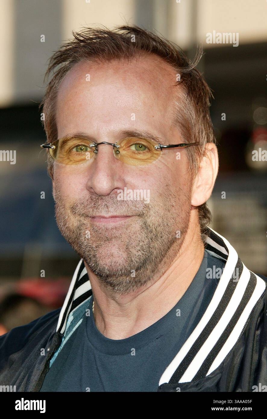 Jun 12, 2006; Hollywood, CA, USA; Actor PETER STORMARE at the world ...