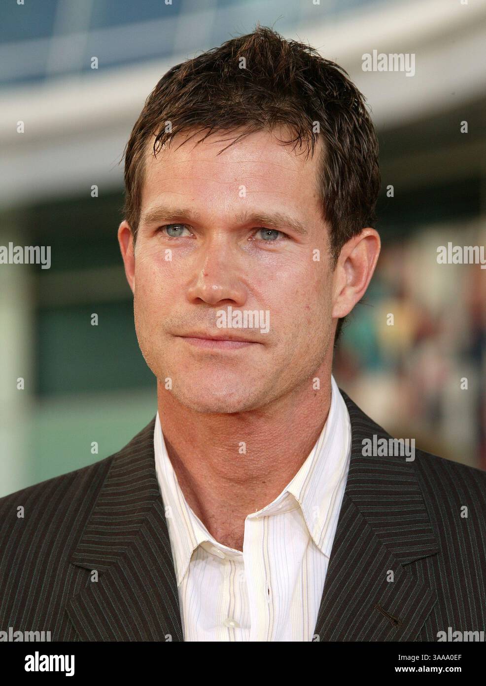 Jun 13, 2006; Hollywood, CA, USA; Actor DYLAN WALSH at the world ...