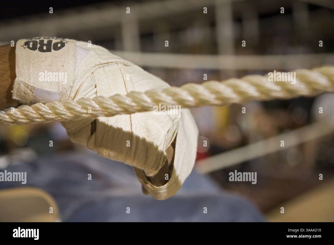 May 28, 2006; San Pedro, Ambergris Caye, BELIZE; A boxer rests in his ...