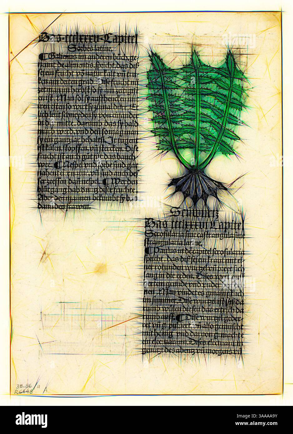 An intricate design featuring two segments of text surrounded by ...