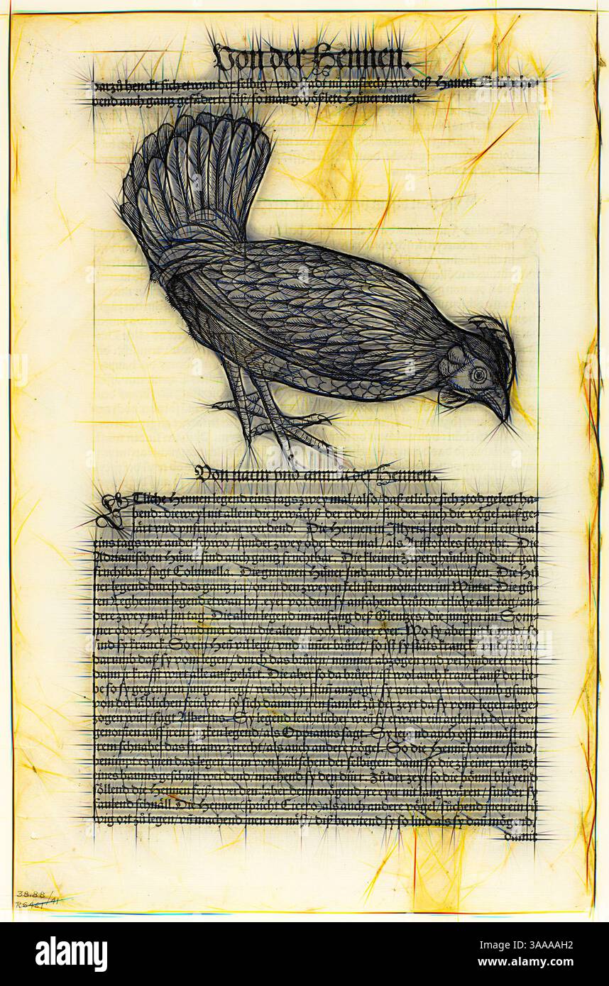 A detailed illustration of a bird, intricately designed with flowing ...