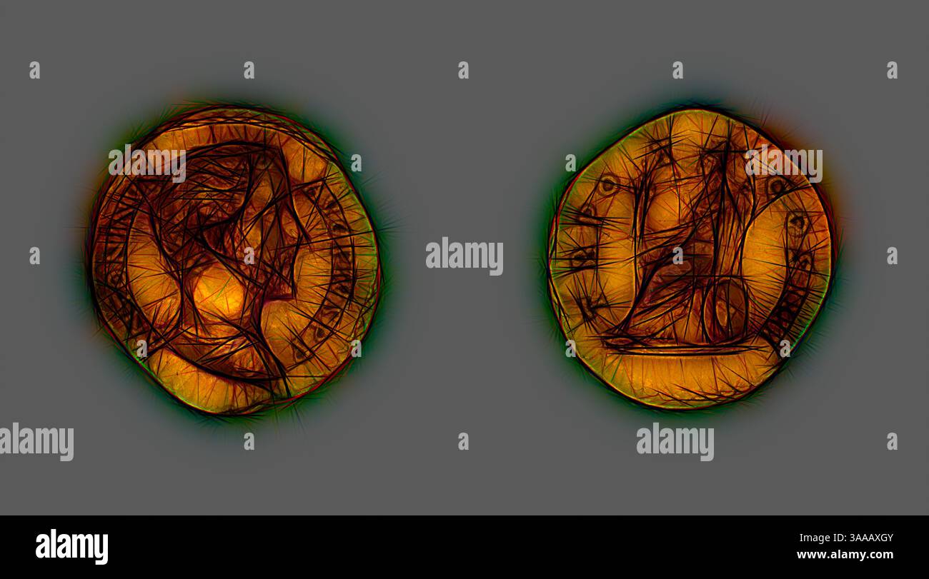 Two circular coins featuring intricate designs. One side displays a ...