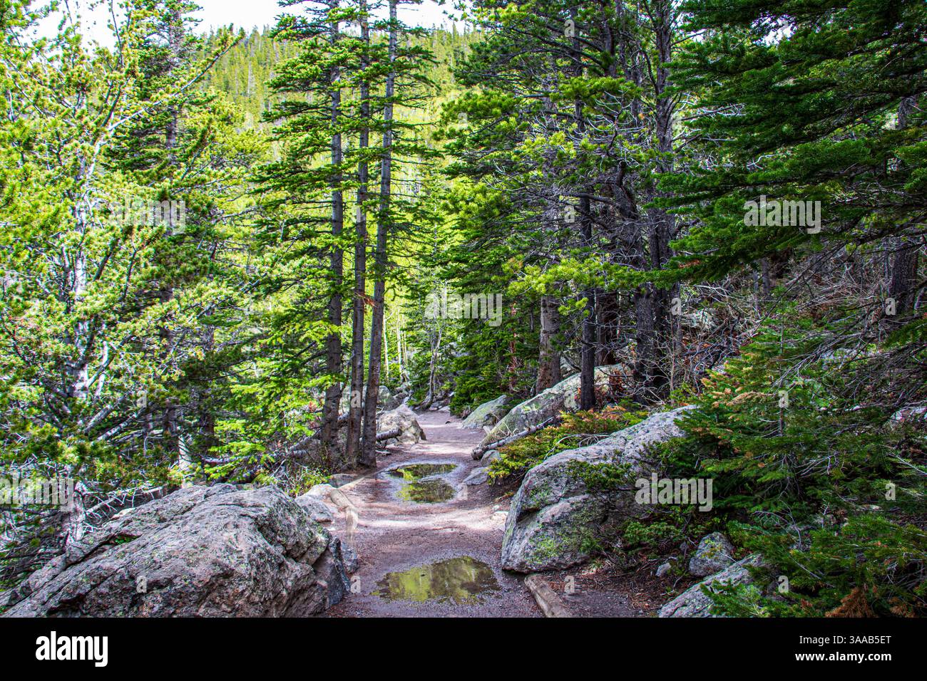 Bear Lake Trail at Rocky Mountain National Park Stock Photo - Alamy