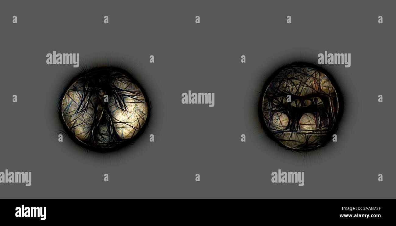 Faint silhouette resembling hi-res stock photography and images - Alamy