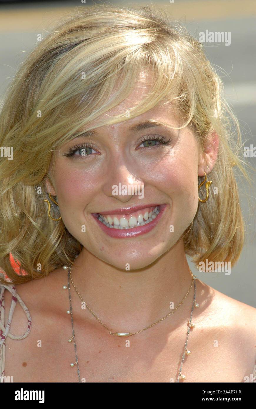 Allison mack hi-res stock photography and images - Alamy