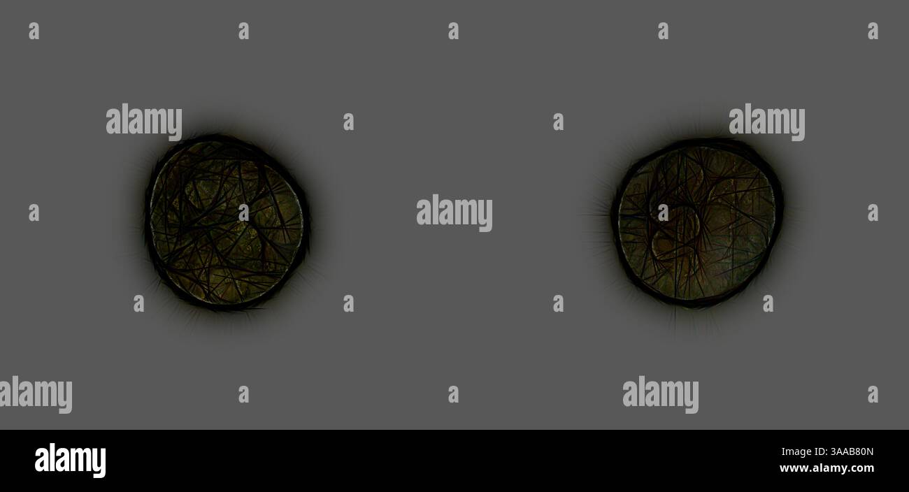 Two circular forms exhibit intricate, tangled patterns and textures ...