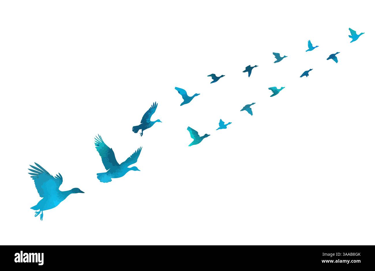 A flock of blue ducks flying. hand drawing. Not AI. Vector illustration ...