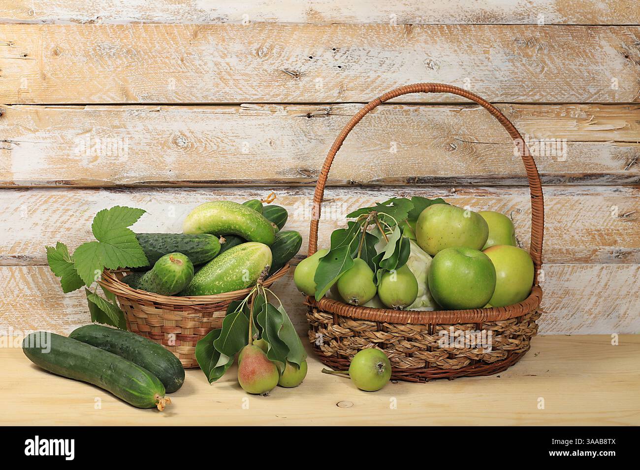 The concept of harvesting in the village. Fresh crispy cucumbers and ...