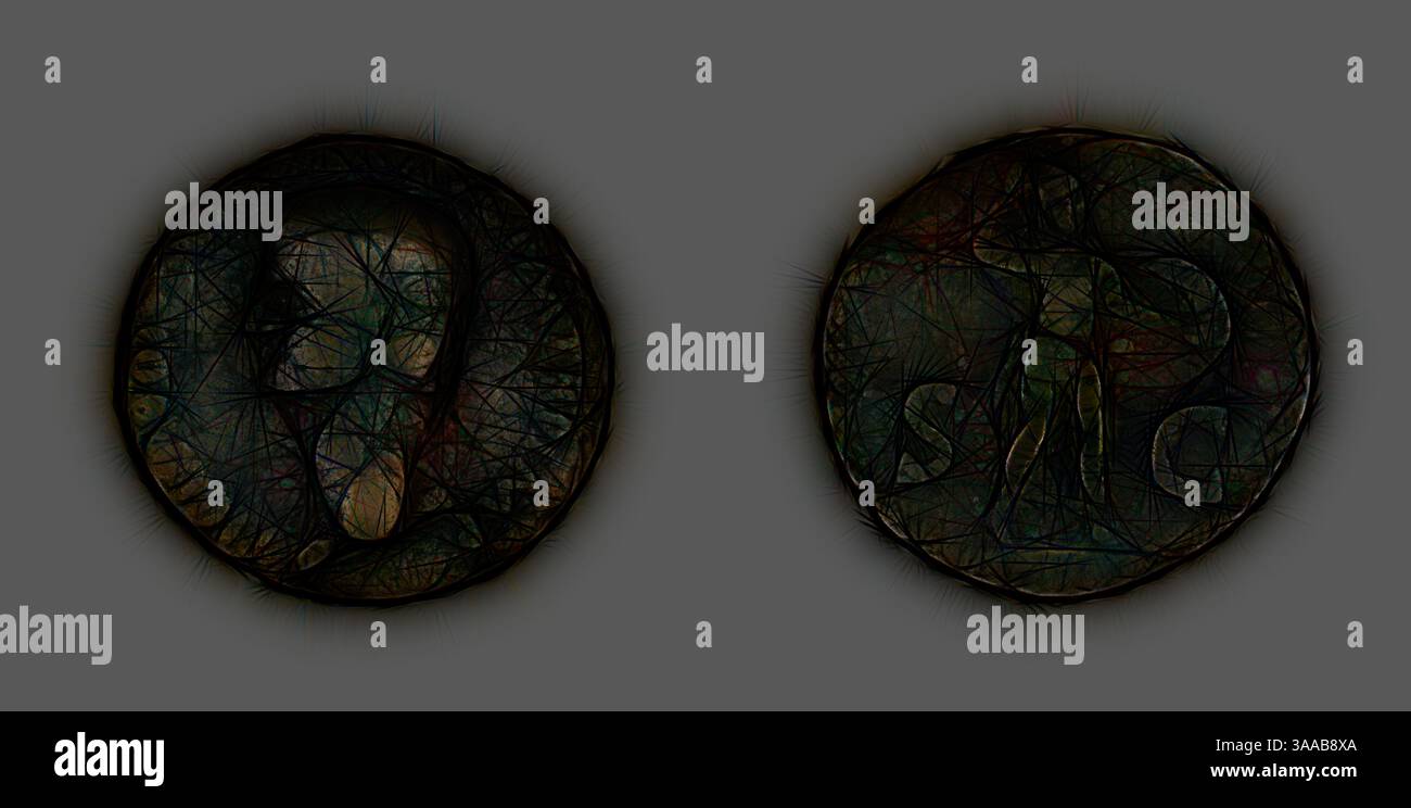 Two intricate coins are displayed, featuring ornate designs and ...