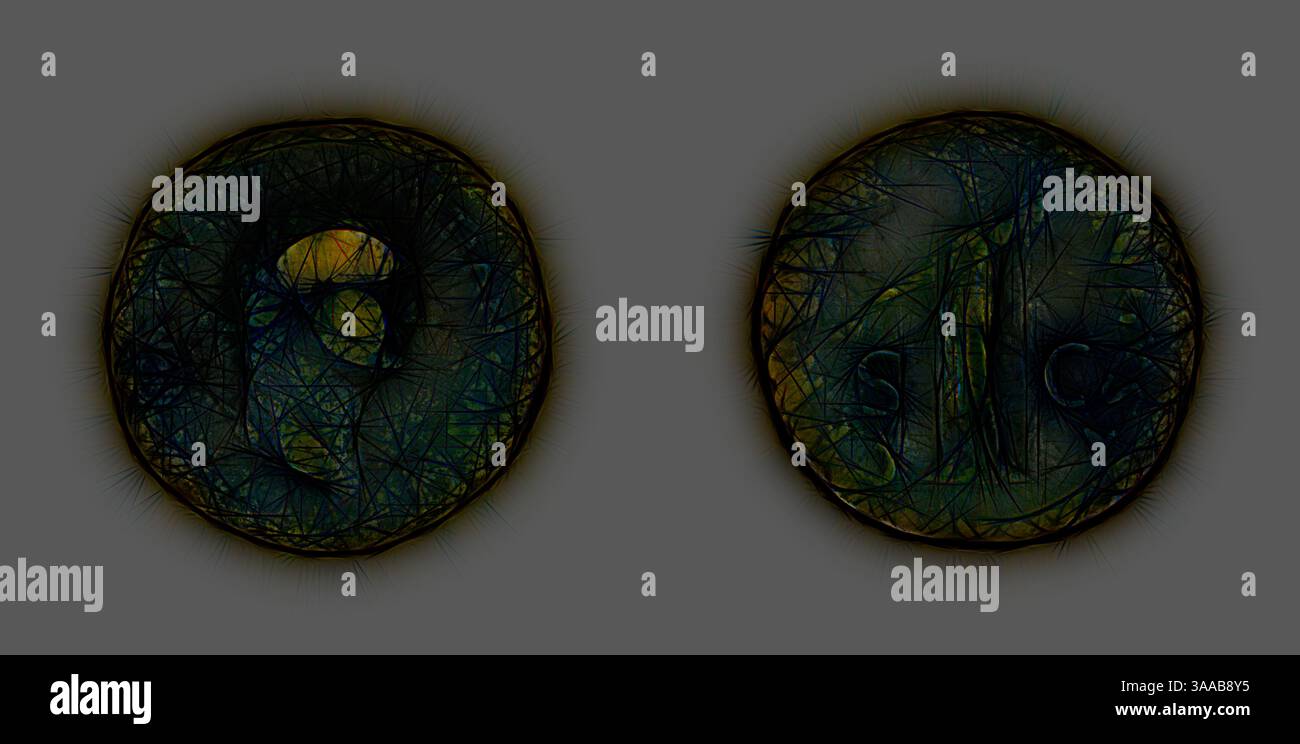 Two depicted coins featuring intricate designs, showcasing unique ...