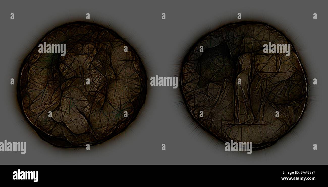 Two worn coins are displayed, each featuring intricate designs and ...