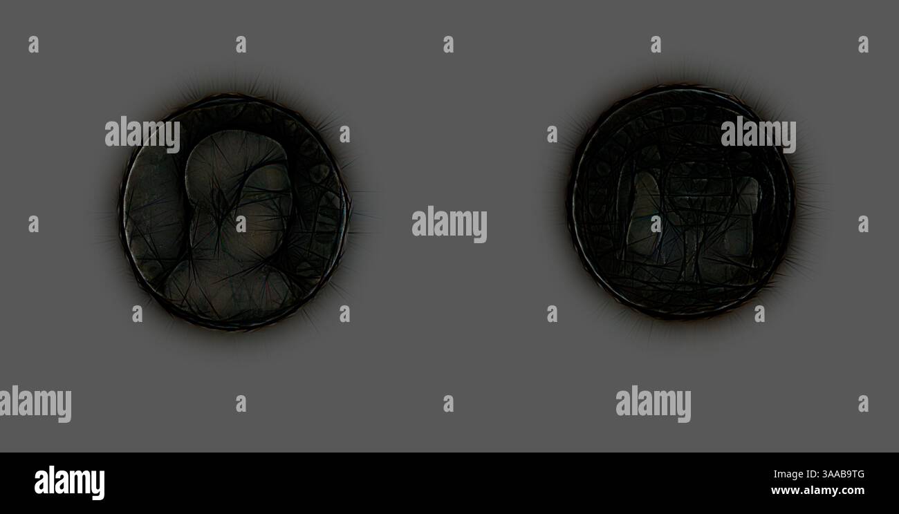 Two coins are displayed side by side, featuring intricate designs and ...