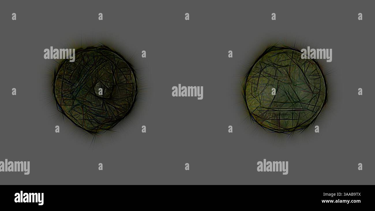 Two circular objects with intricate, textured surfaces, each featuring ...