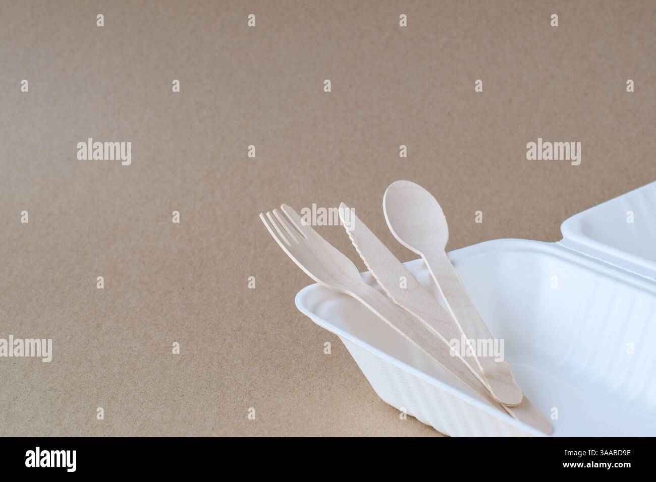 Single use biodegradable wooden bamboo take out cutlery in a containers ...