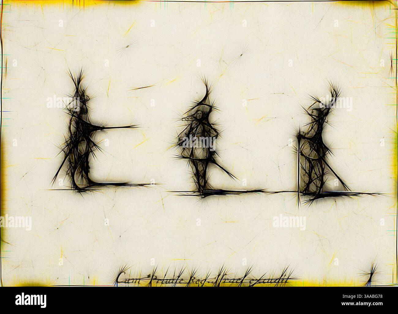 Subtle variations in thickness hi-res stock photography and images - Alamy