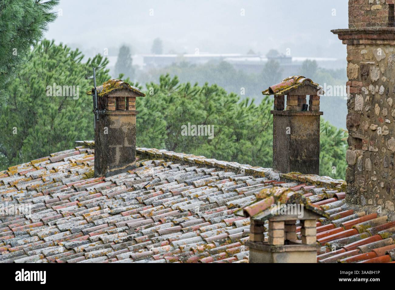 A house in Umbria Italy with a roof that has moss growing on it. The ...