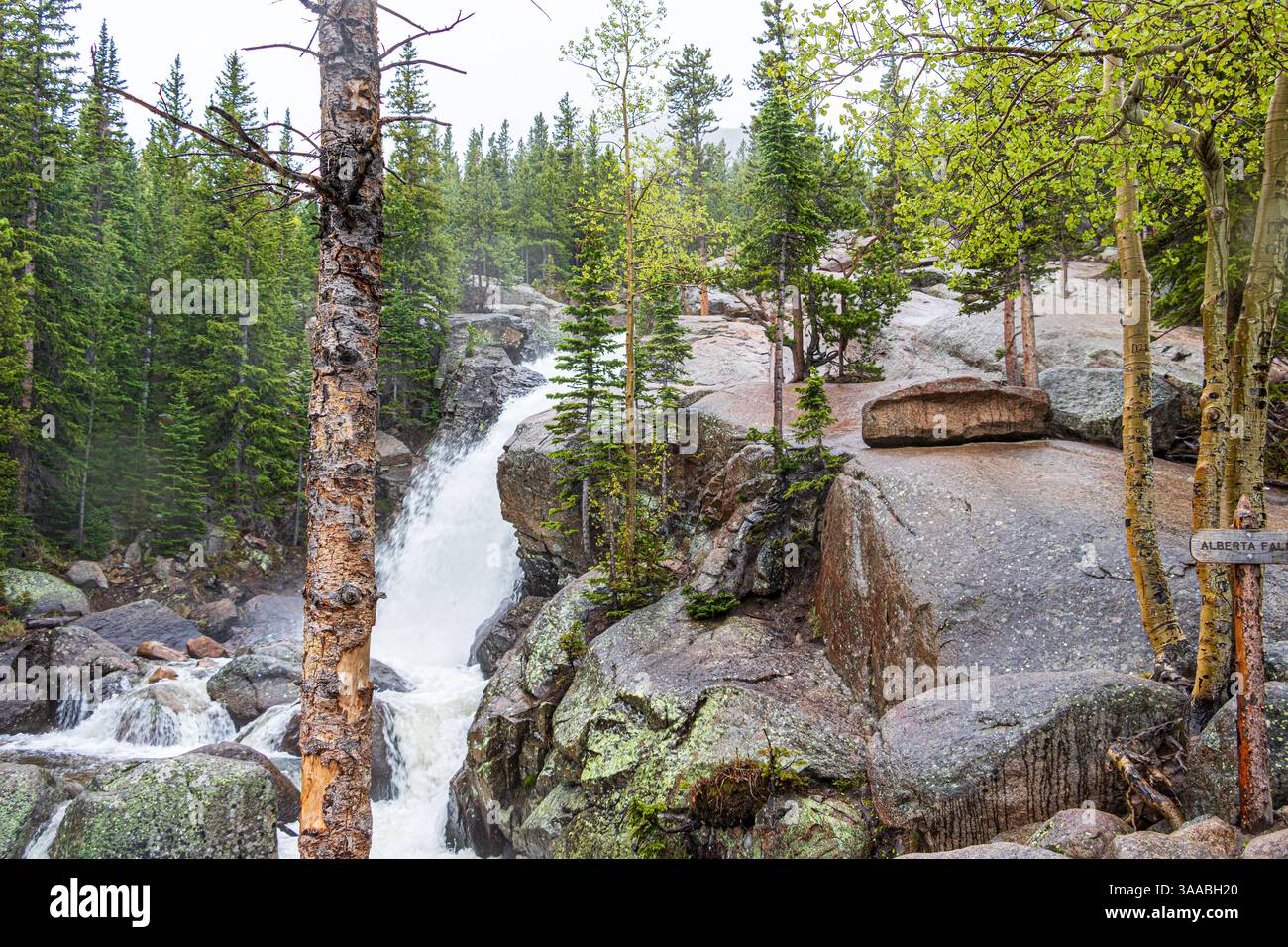 Beautiful Alberta Falls at Rocky Mountain National Park Stock Photo - Alamy