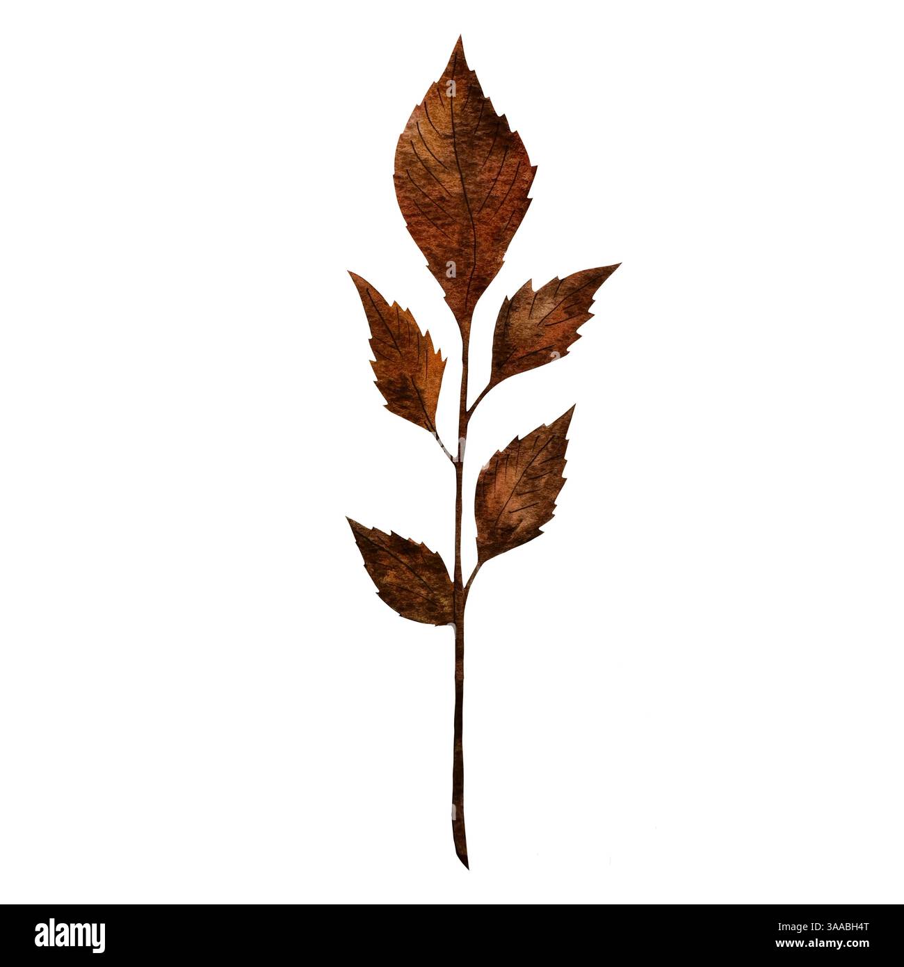 Colourful autumn branch with leaves. Watercolor illustration, isolated ...