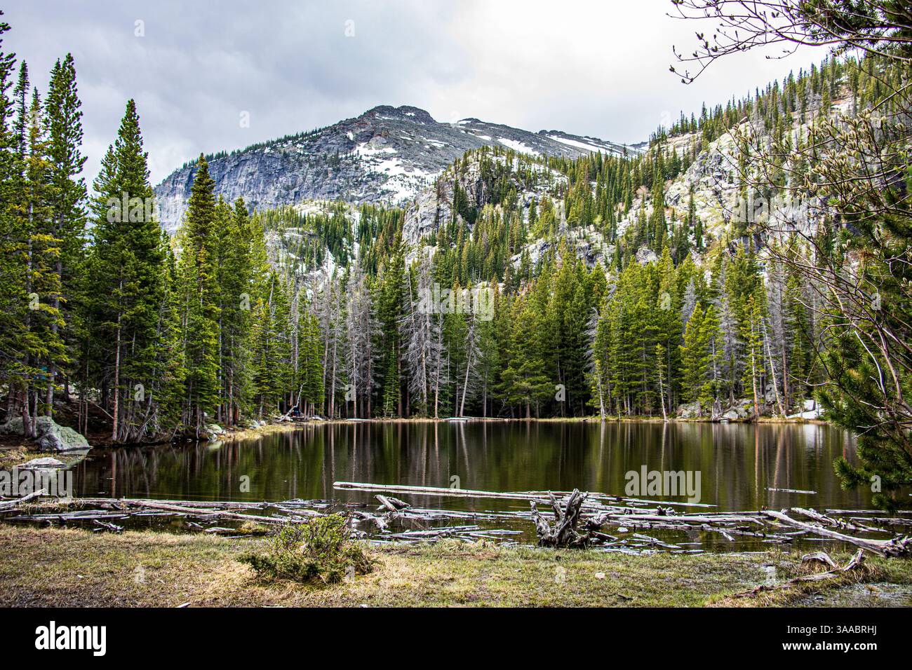 Beautiful scenery around Nymph Lake at Rocky Mountain National Park ...