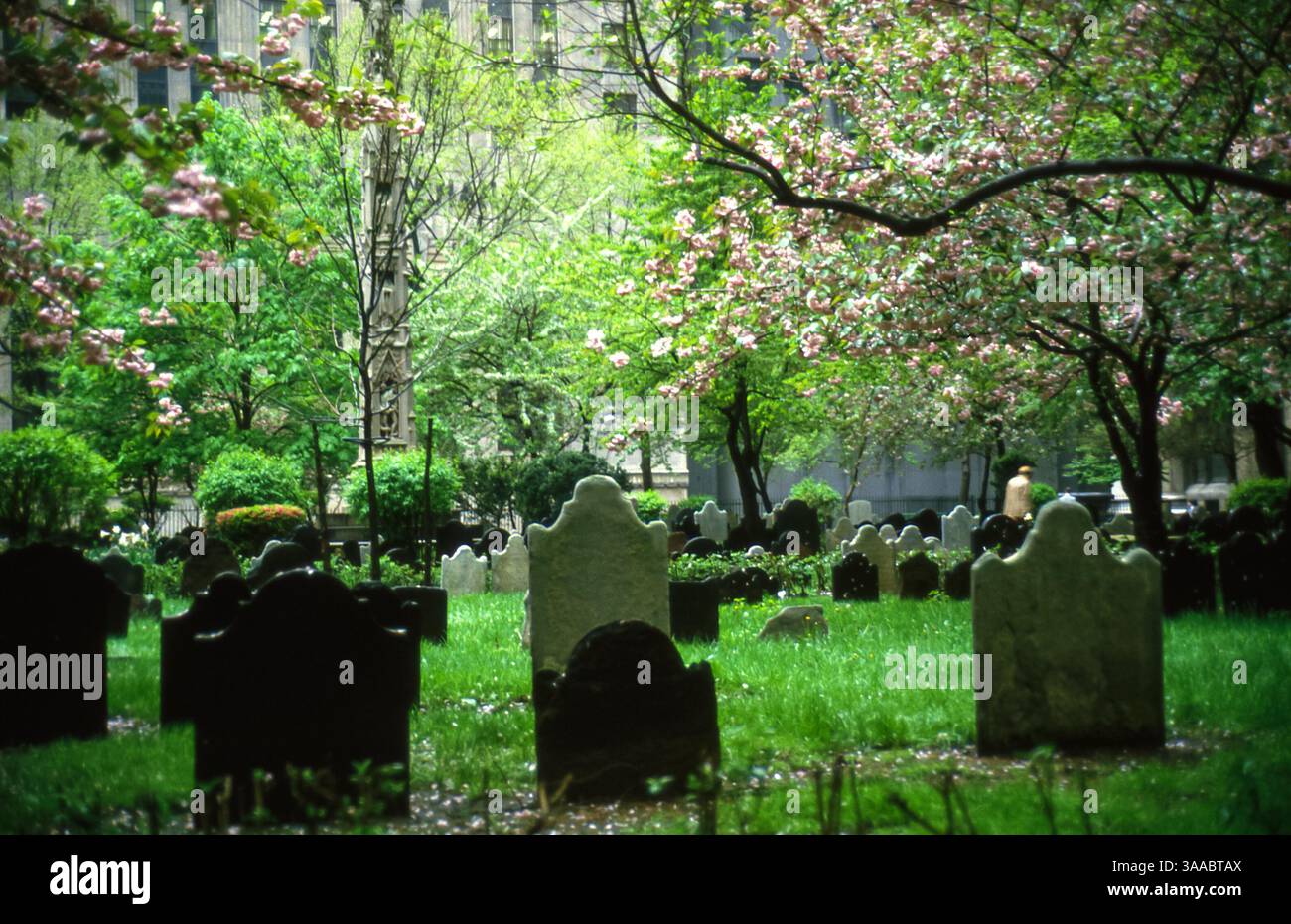 Lower Manhattan in mid eighties. Trinity Church Cemetery on a rainy and ...