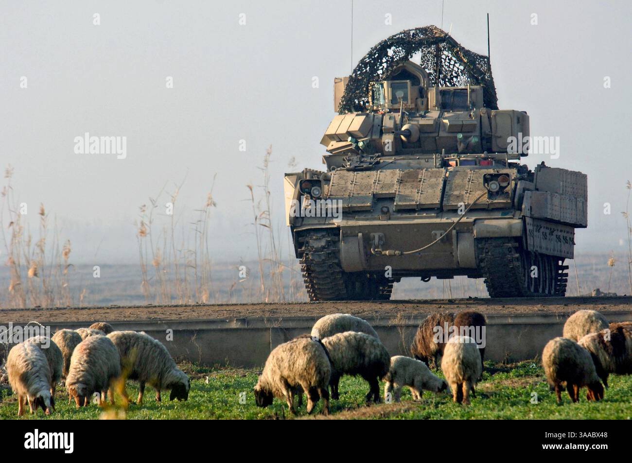 Feb. 17, 2007 - Bini Ziad, IRAQ, IRQ - US Army Bradley Fighting Vehicle ...