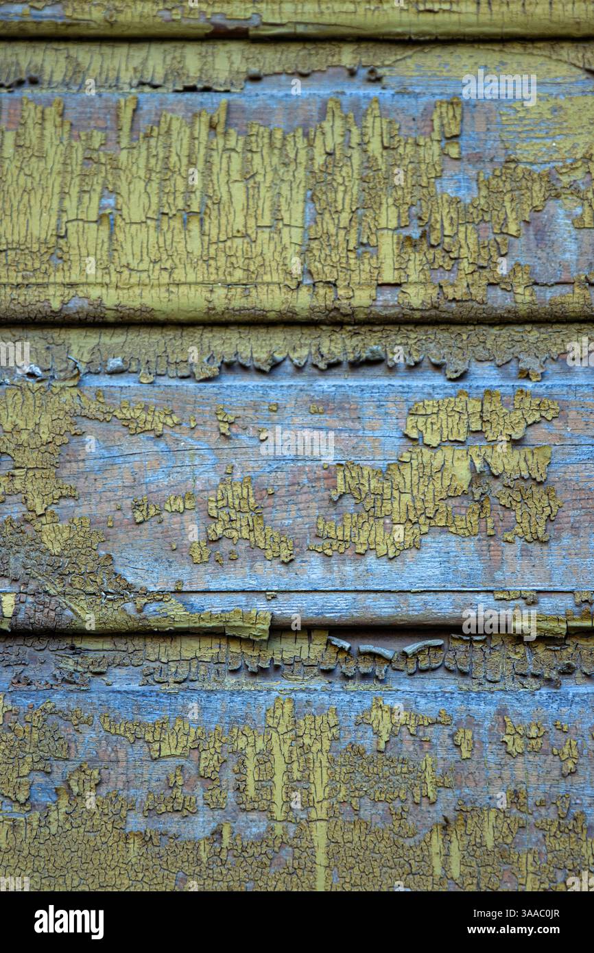 Rustic wood surface with chipped yellow paint and distressed blue layer ...