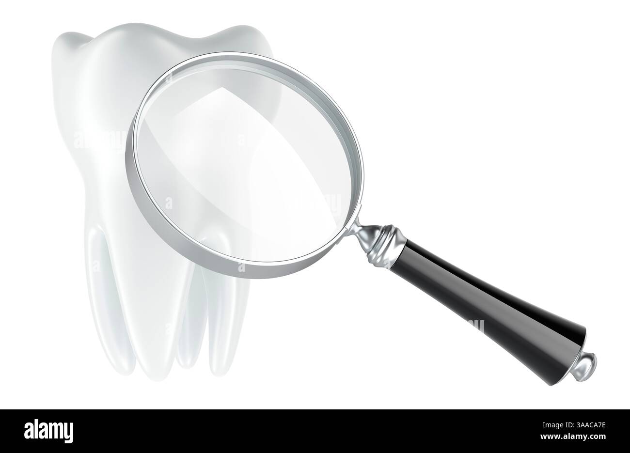 Molar Tooth with magnifying glass. Research and diagnosis concept, 3D ...