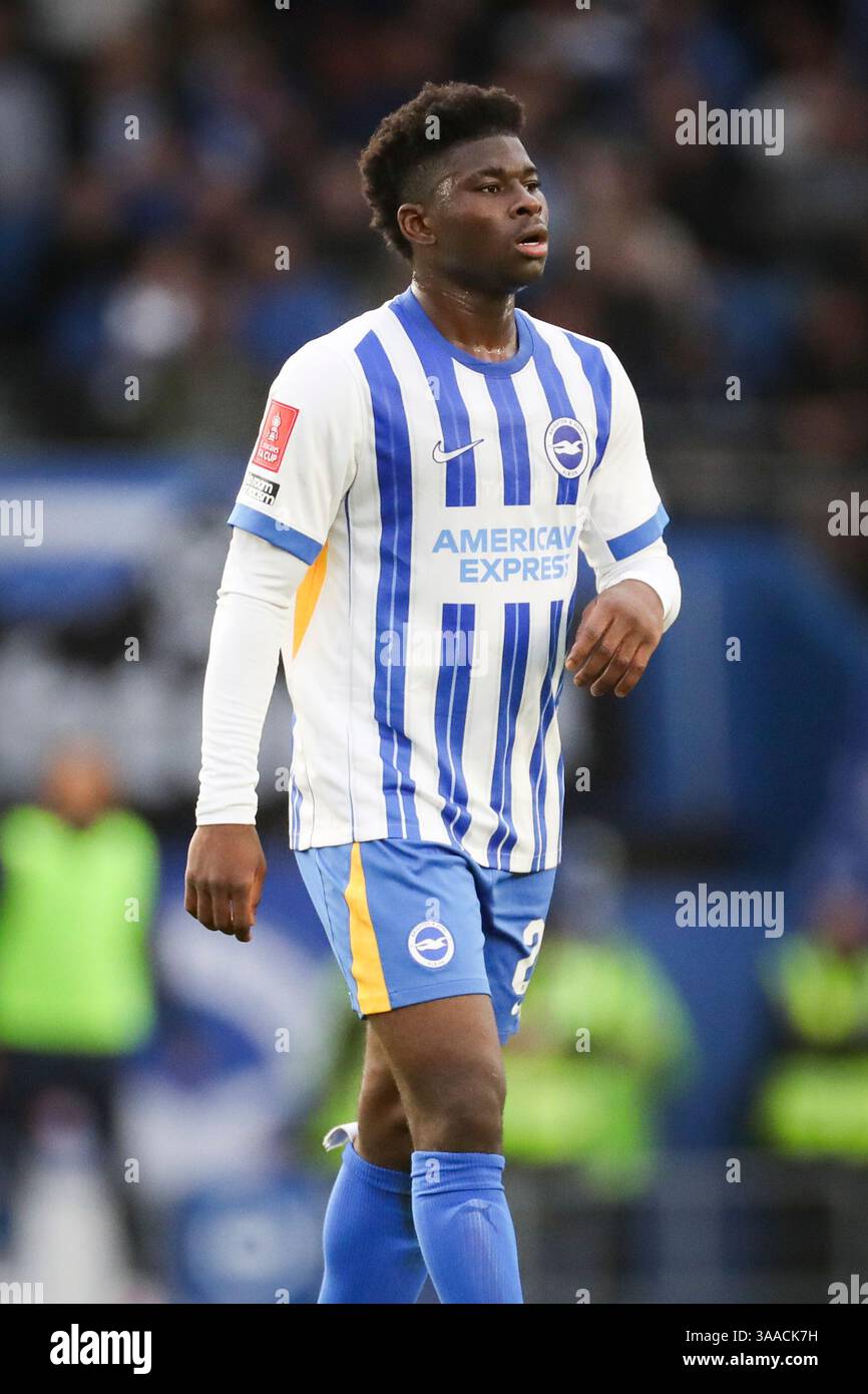 Brighton & Hove Albion midfielder Carlos Baleba (20) during the ...