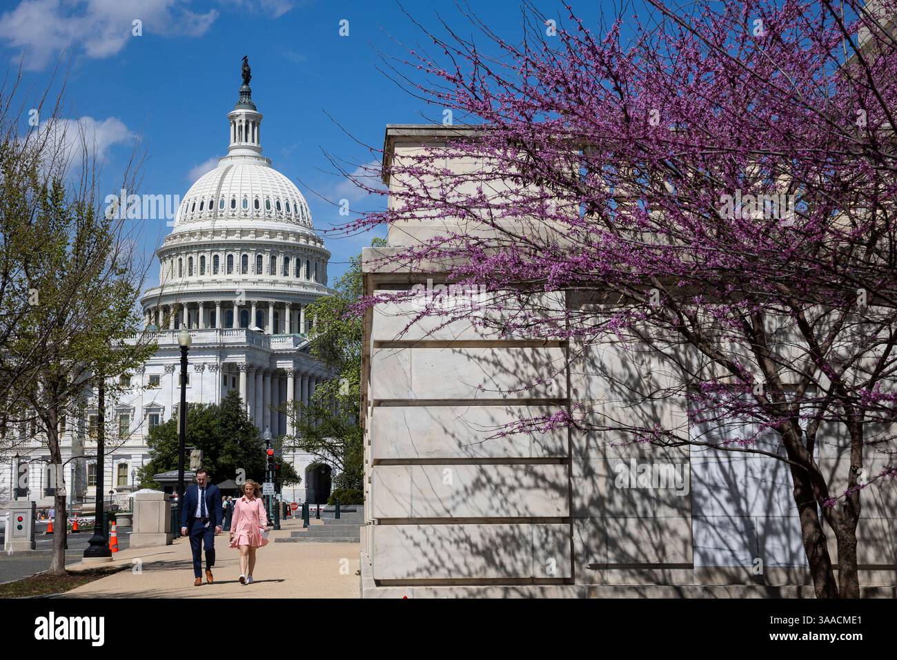The U.S. Capitol building is seen March 31, 2025. (Francis Chung ...
