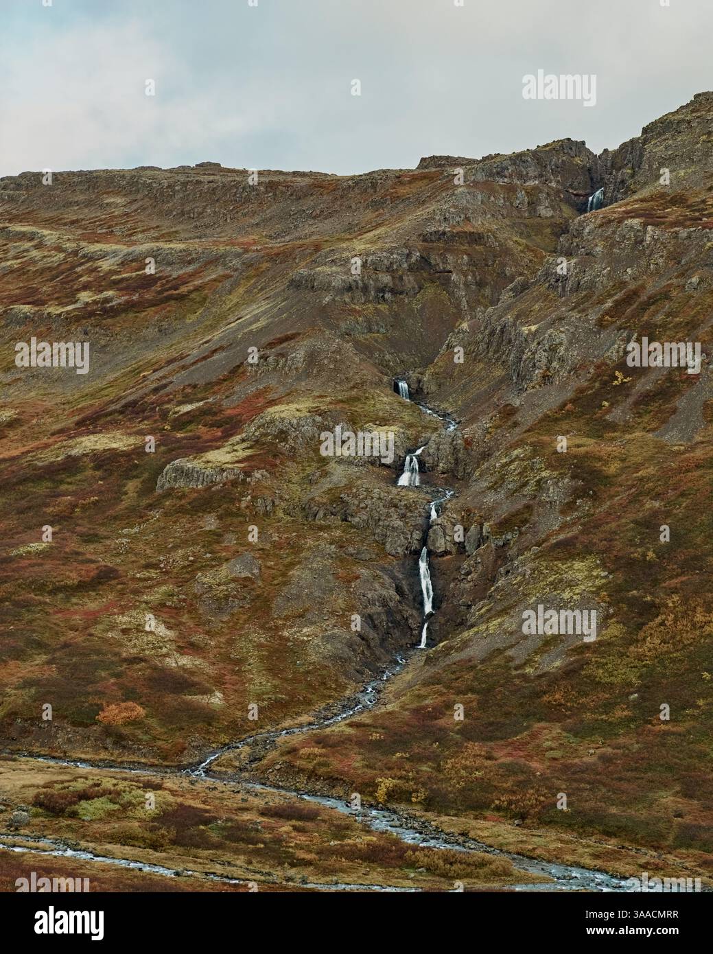Golden autumn valley with winding stream in Westfjords, Iceland Stock ...
