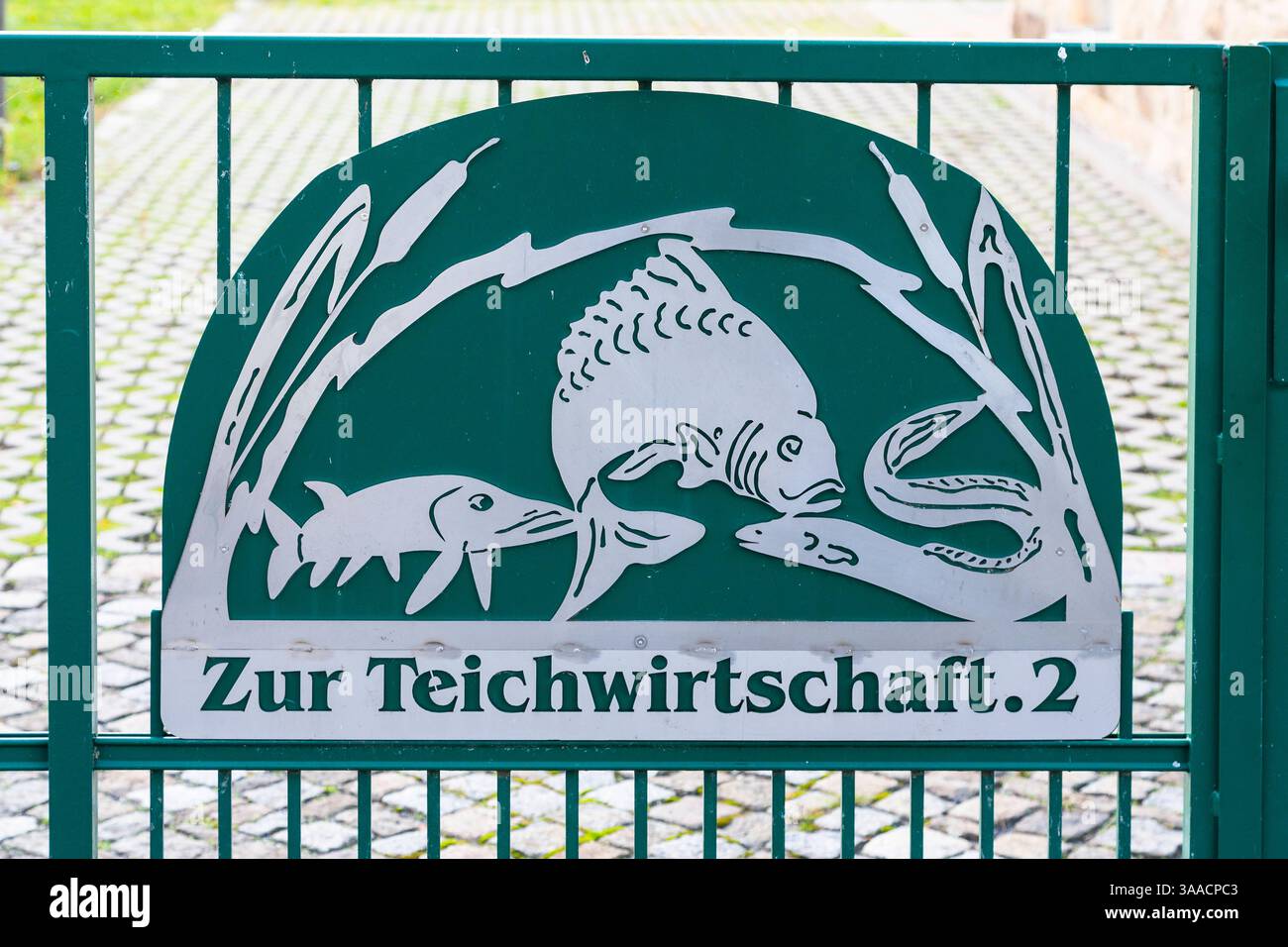 Zeichen mit fisch hi-res stock photography and images - Alamy