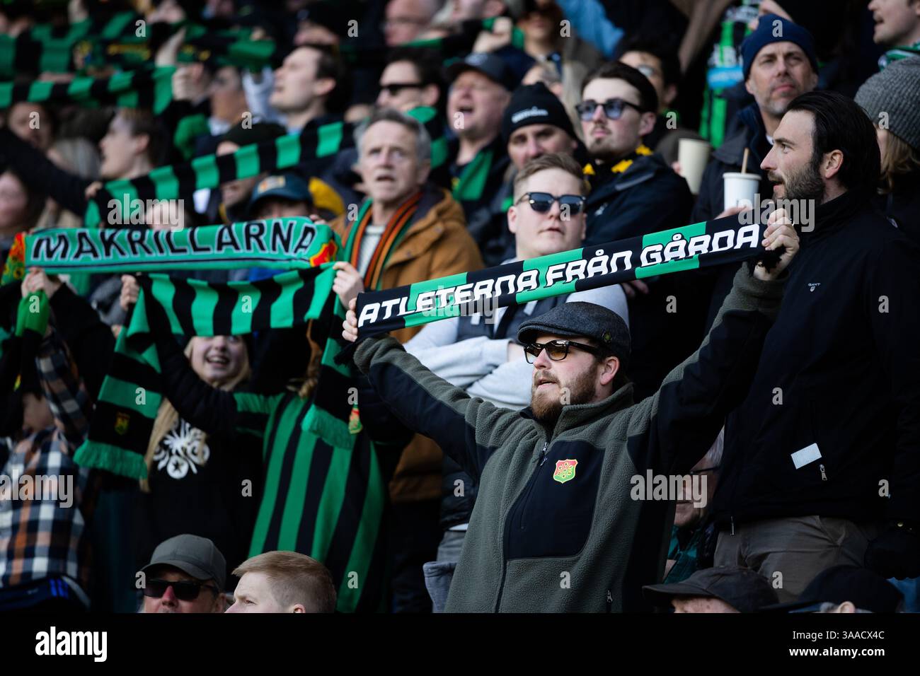 250331 GAIS supportrar under fotbollsmatchen i Allsvenskan mellan GAIS ...